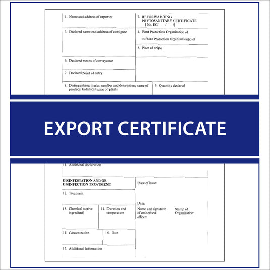 Export Certificate – Fast Track Apostille - Legalisation Store